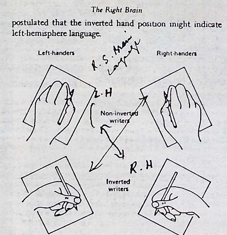 The Right Brain – SIKH HERITAGE EDUCATION